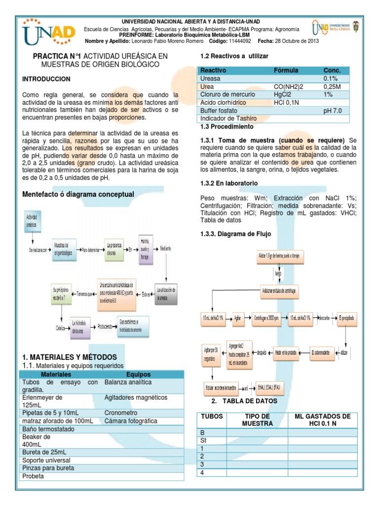 Preinforme Bioquimica M. | PDF | Solución tampón | Ph