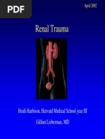 AAST Kidney Injury Grading Scale | PDF | Kidney | Injury