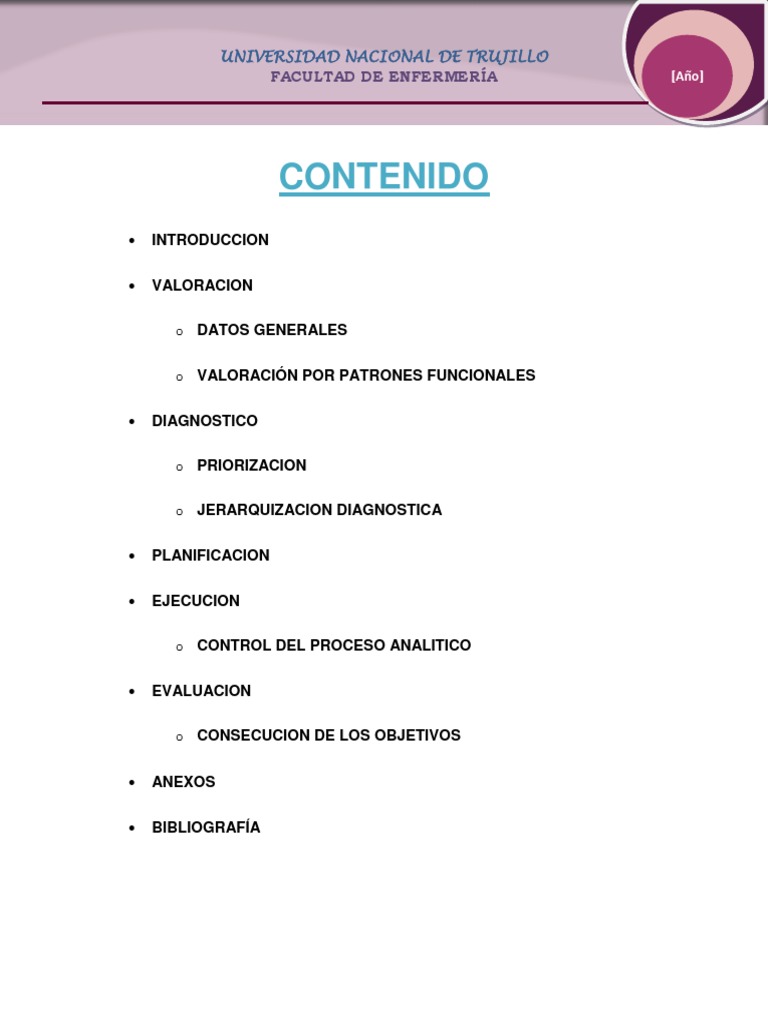 Modelo de PAE | PDF | Cuidado de la salud | Ciencias de la Salud