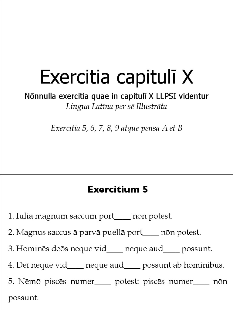 Exercitia Capitulum X | PDF