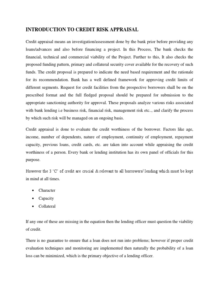 Credit Risk Assessment | PDF | Credit (Finance) | Working Capital