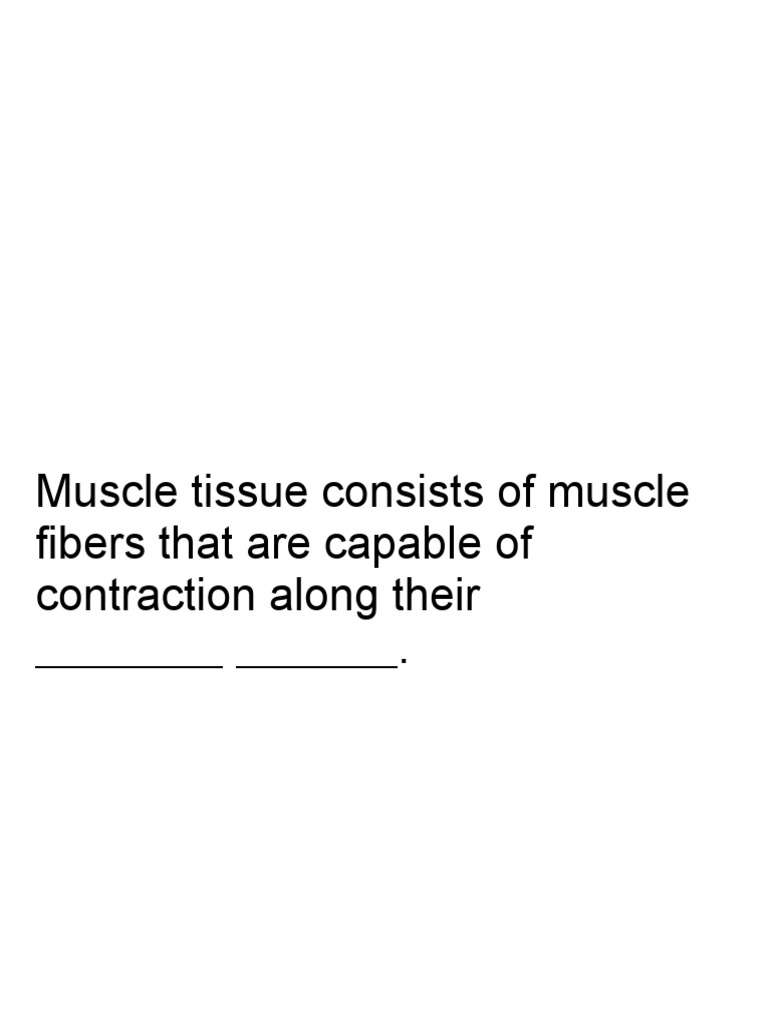 Muscles Lecture For Anatomy | PDF | Myocyte | Muscle