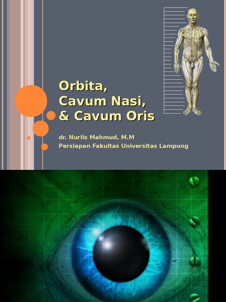 Cavum Orbita | PDF