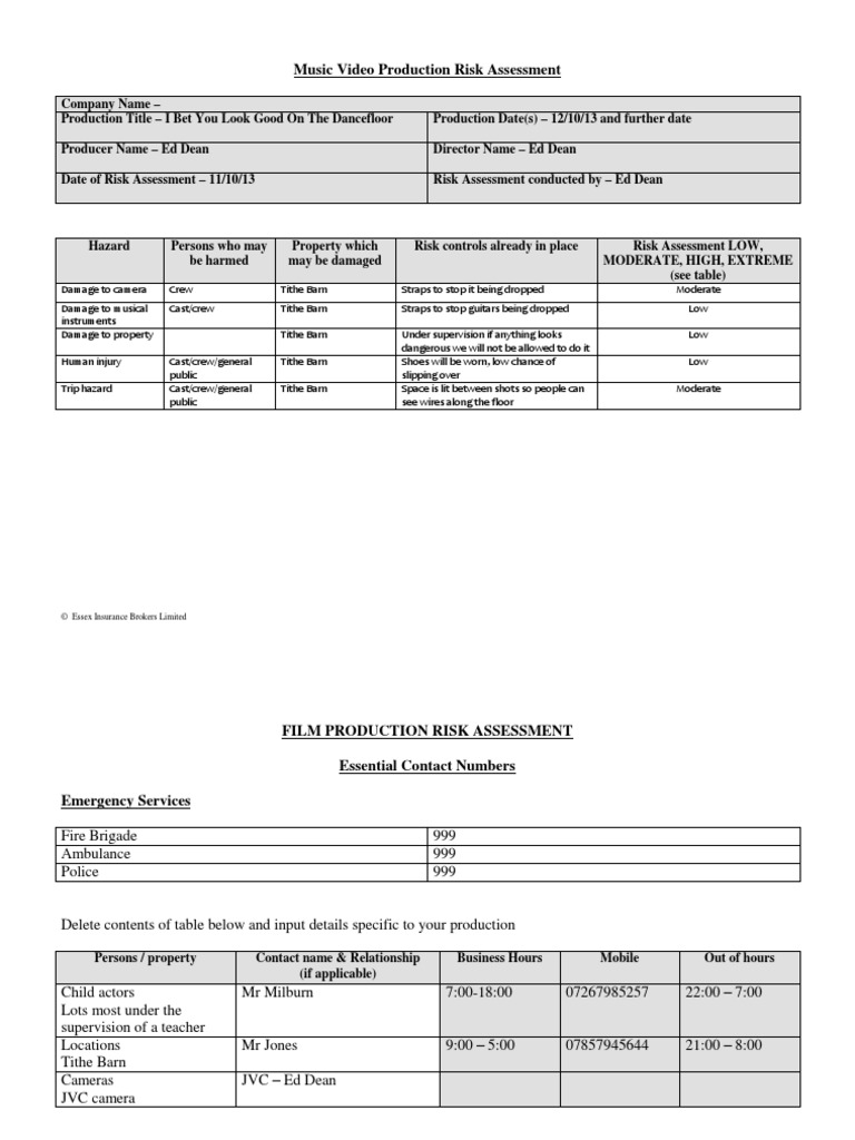 Music Video Production Risk Assessment | PDF | Games & Activities | Art