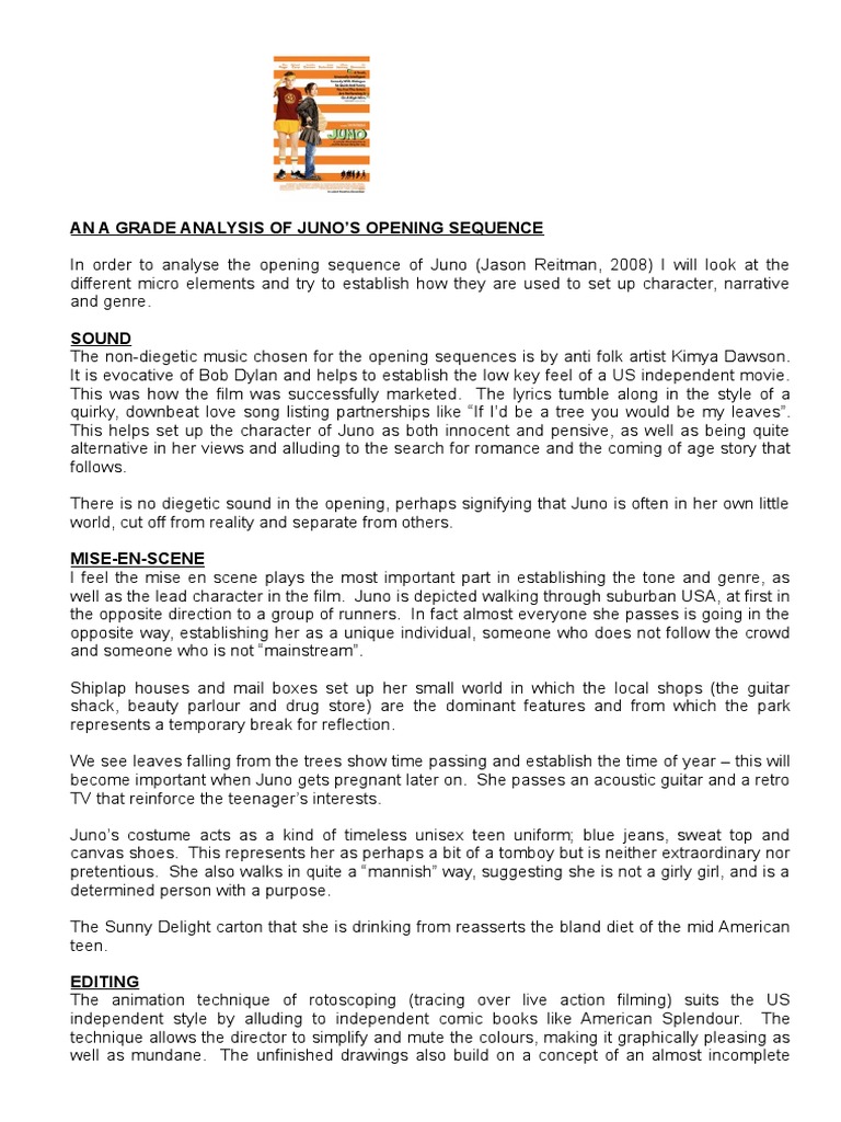 Example of Juno Analysis | PDF | Leisure