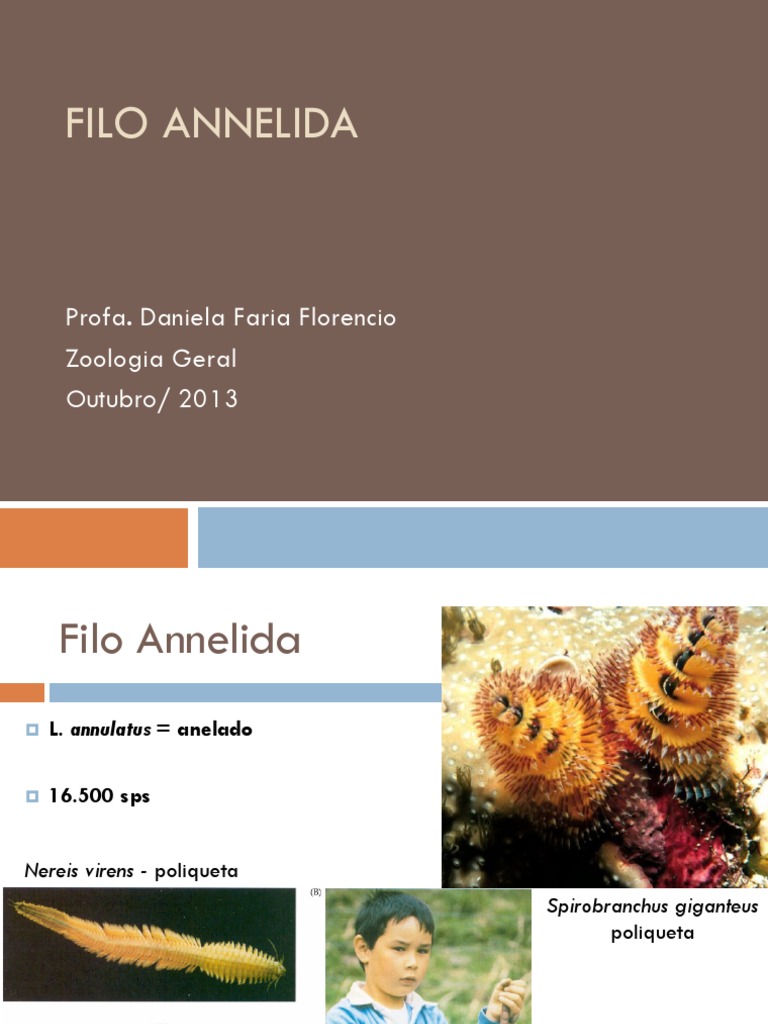 Aula Anne Lida | PDF | Protostomia | Zoologia