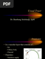 ICD-10 Codes for Uveitis Types | PDF | Immunology | Diseases Of The Eye ...