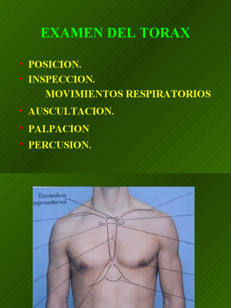 Examen y Patologías del Tórax | PDF