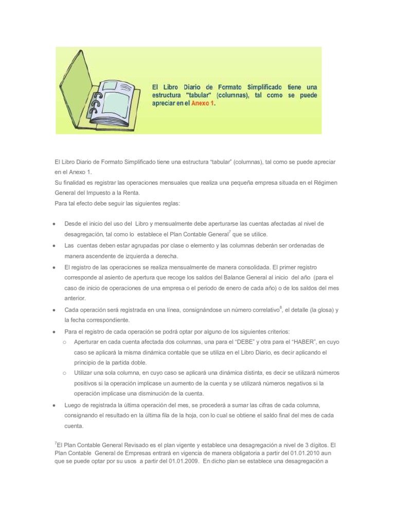 El Libro Diario de Formato Simplificado Tiene Una Estructura | PDF ...