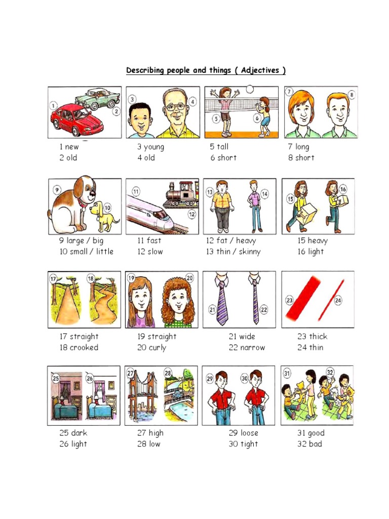 Describing People and Things | PDF