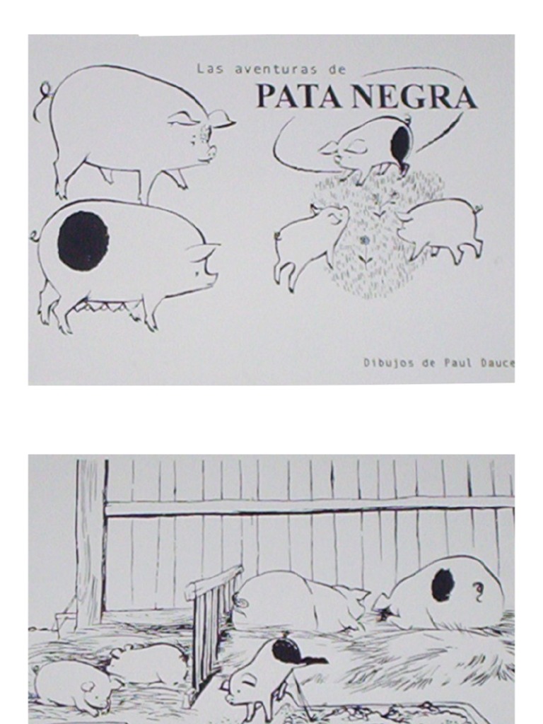 Laminas Test Pata Negra.pdf