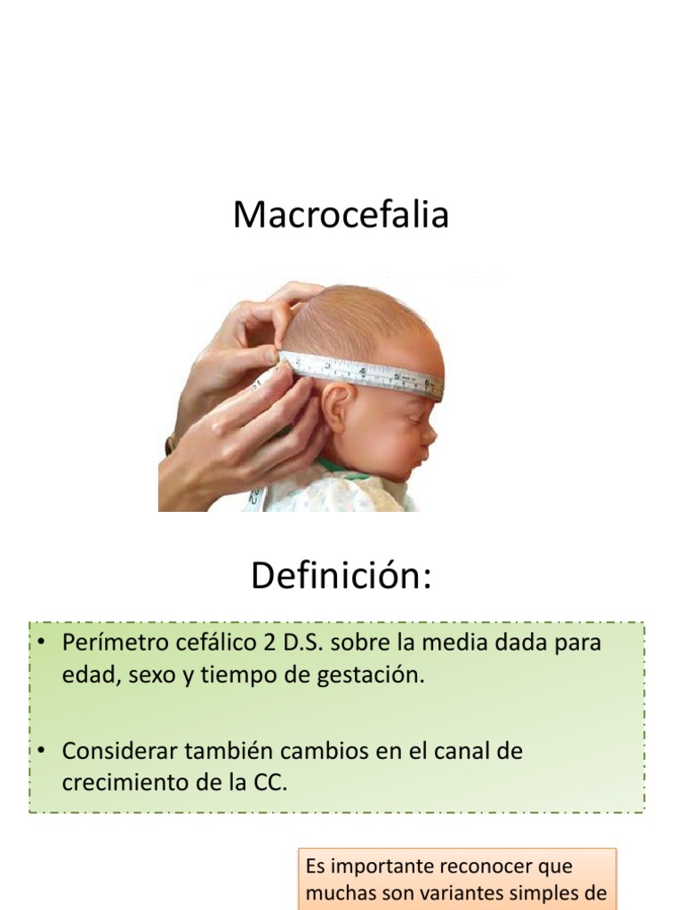 Macrocefalia | PDF | Neurología | Enfermedades y trastornos