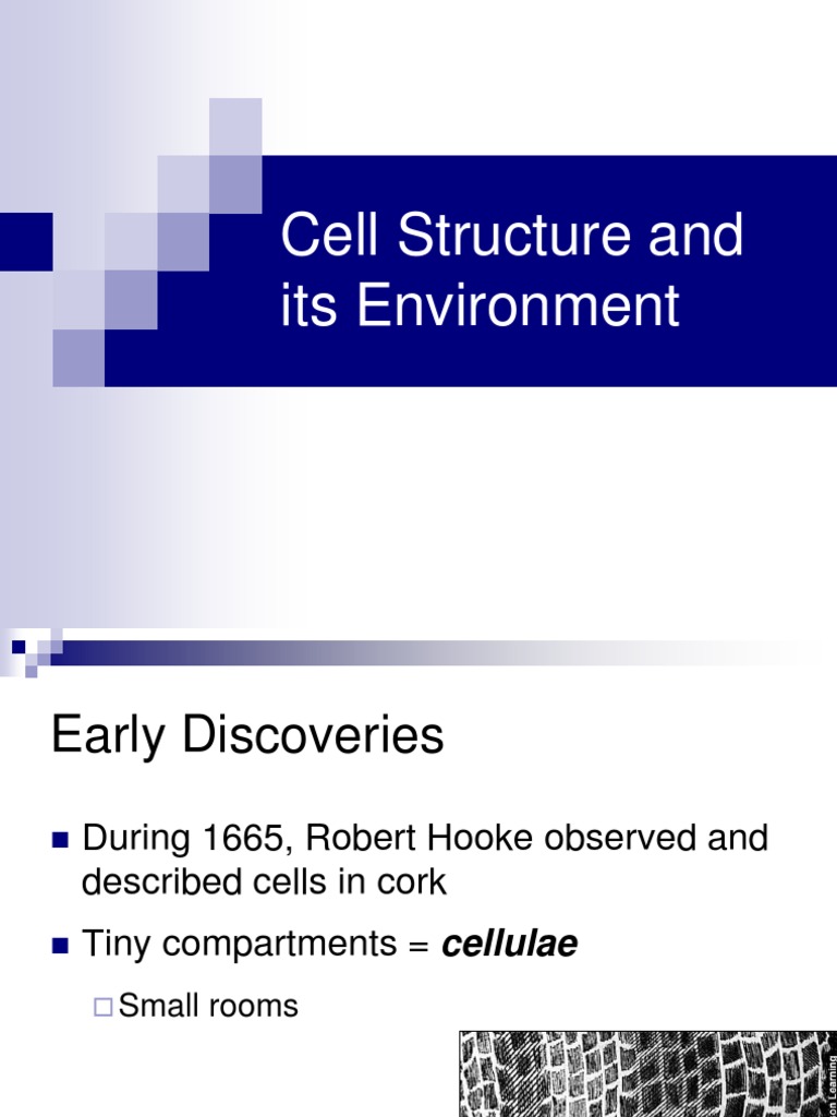 Cell Biology: Structure & Function | PDF | Cell Nucleus | Cell (Biology)