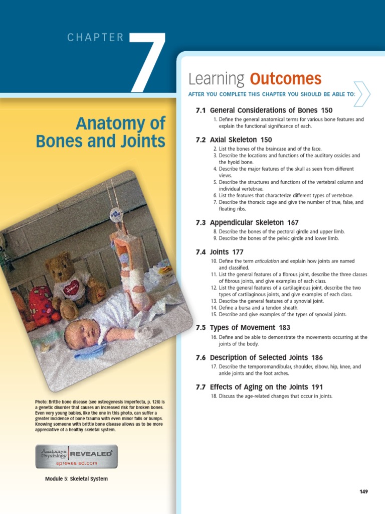 Anatomy of Bone and Joint | PDF | Vertebra | Vertebral Column
