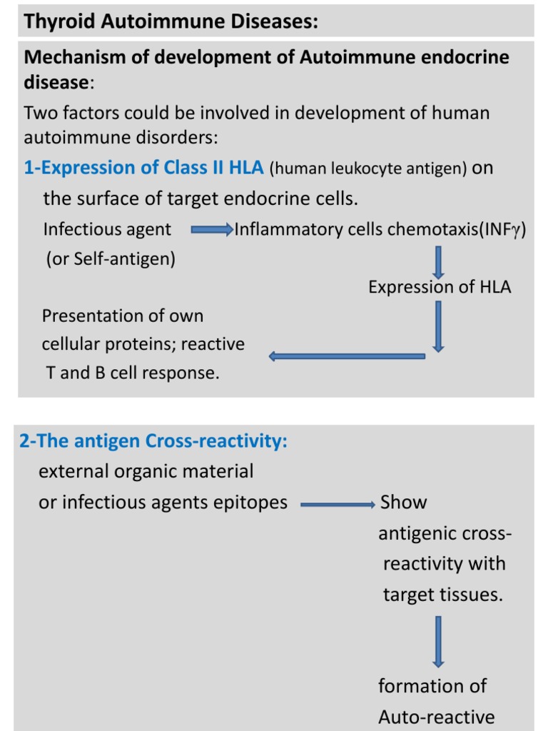 Thyroid Autoimmune Diseases Pdf Autoimmunity Thyroid