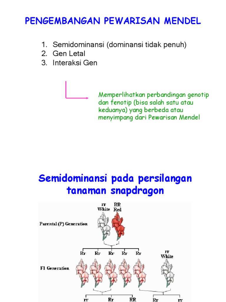 Pengembangan Pewarisan Mendel (Semidominansi, Gen Letal, Interaksi Gen ...