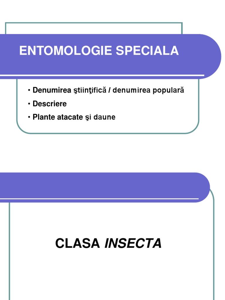 Clasa Insecta | PDF