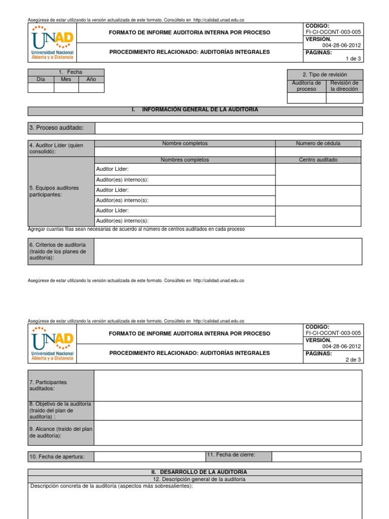 Formato de Informe Auditoria Interna Por Proceso | PDF