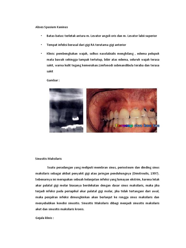 Abses Spasium Kaninus | PDF