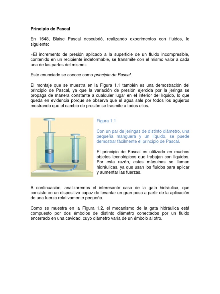 Principio de Pascal | Descargar gratis PDF | Fuerza | Mecánica de Medios Continuos
