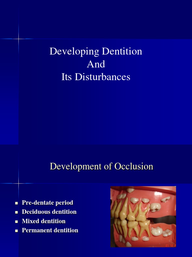 Development of Predentate Dentition | PDF | Tooth | Face