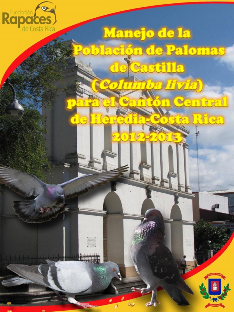 Manejo de Palomas de Castilla en Heredia | PDF | Aves | Aluminio