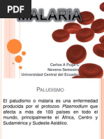 CAPÍTULO 17 - Prurigo Por Insectos (Cimiciasis) | PDF | Insecticida ...