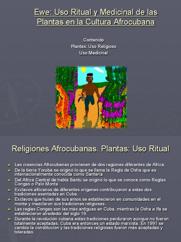 Ewe Uso y Ritual | PDF | Religión y creencia | Medicina