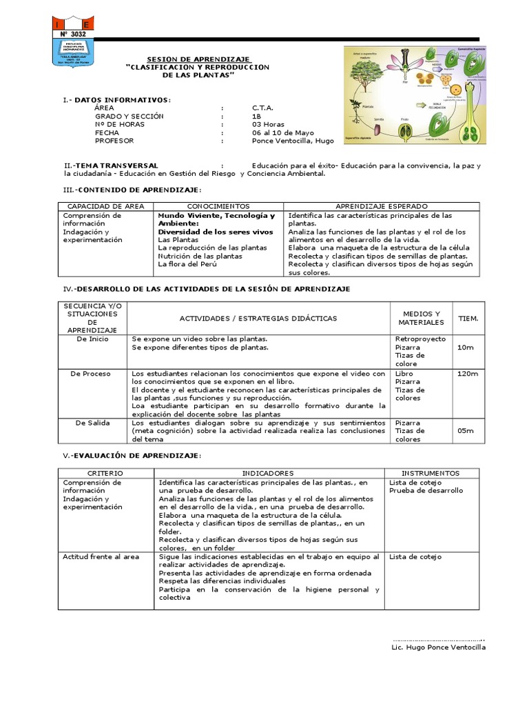 Sesion - de - Aprendizaje Clasificacion de Las Plantas | PDF | Plantas ...