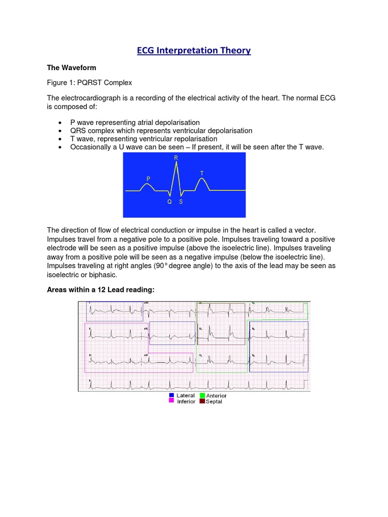 ECG Interpretation Theory | PDF | Electrocardiography | Cardiac Arrhythmia