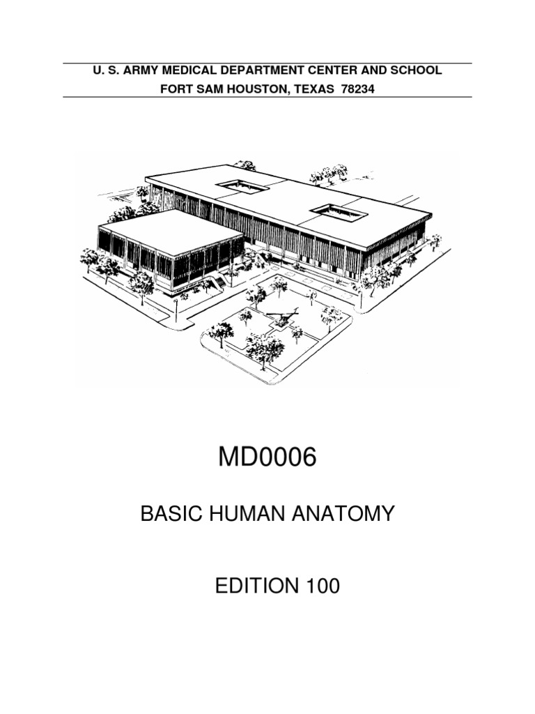 Basic Human Anatomy | PDF
