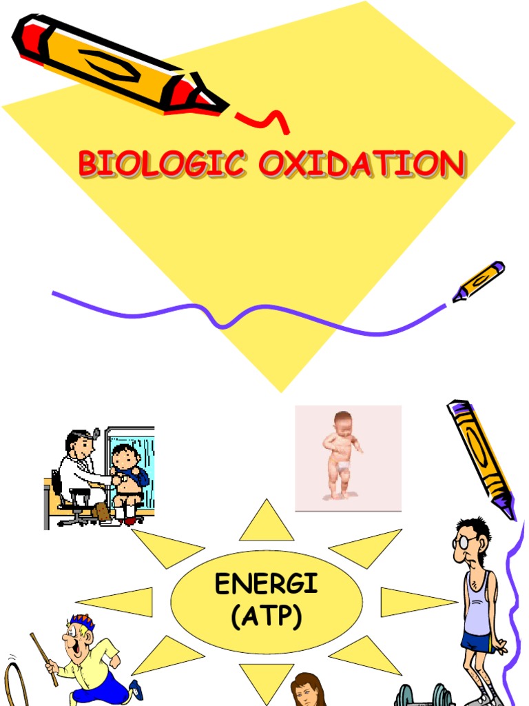 Biology Oxidation | PDF | Adenosine Triphosphate | Electron Transport Chain