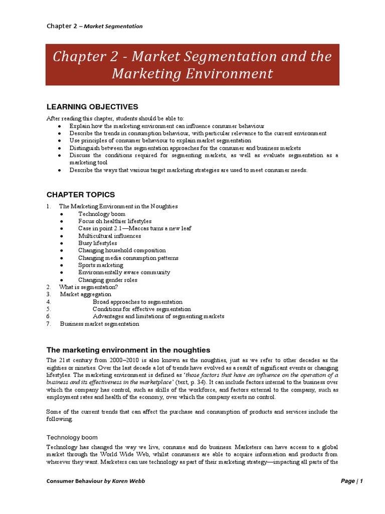 Market Segmentation Insights | PDF | Market Segmentation | Consumer ...
