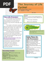 5 E Lesson Plan For Second Grade Life Cycles | PDF | Pupa | Butterfly