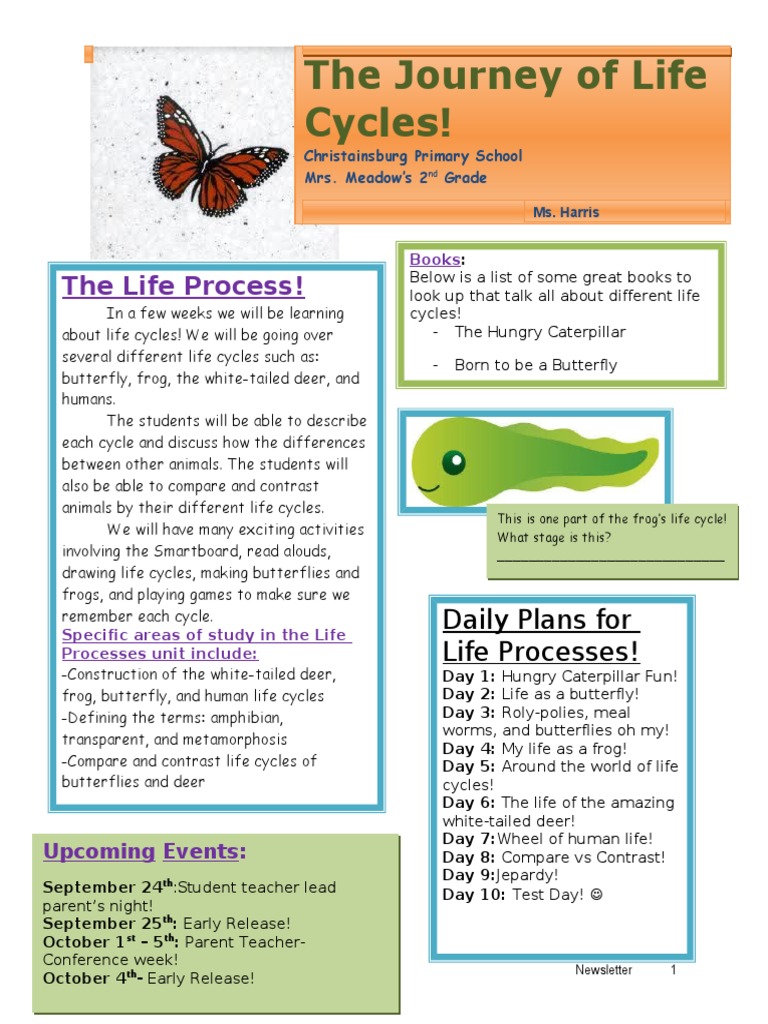 Life Cycle Newsletter - Second Grade | PDF | Butterfly | Teaching