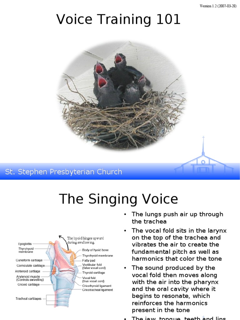 Voice Training 101 v1.2 PDF | PDF | Singing | Human Voice