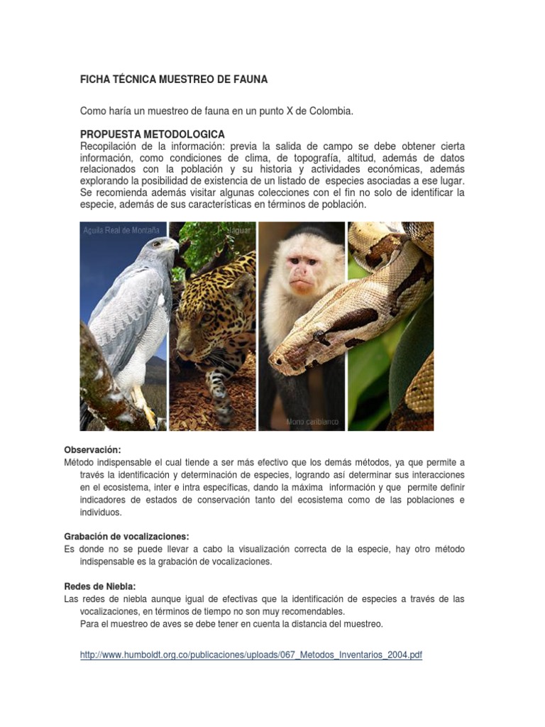 Ficha Técnica Muestreo de Fauna | PDF | Muestreo (Estadísticas) | Especies