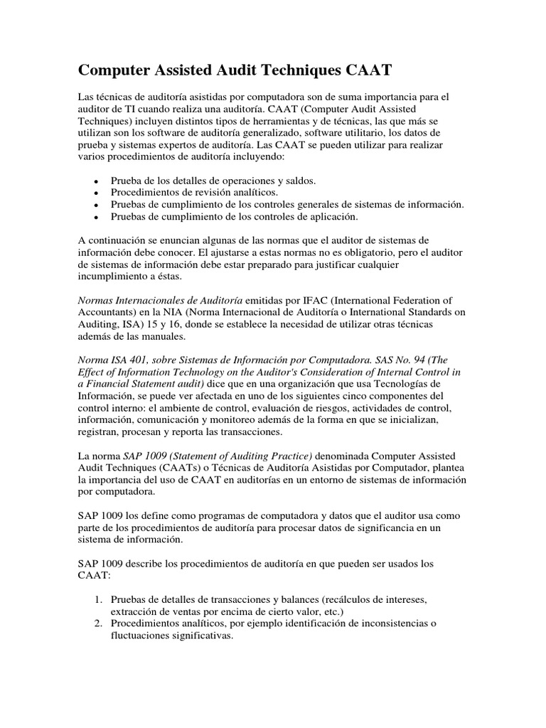 Computer Assisted Audit Techniques CAAT | PDF | Archivo de computadora ...