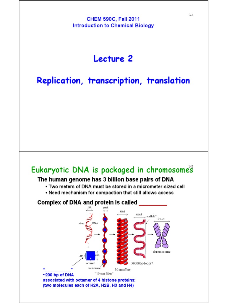 Molecular Biology Notes 1.pdf | Dna Replication | Rna