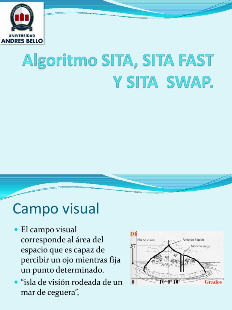 Algoritmo Sita, Sita Fast y Sita Swap | PDF | Percepción visual | Ligero