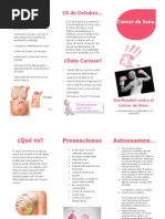 Tríptico de Cáncer de Próstata. | PDF | Cancer de prostata | Cáncer