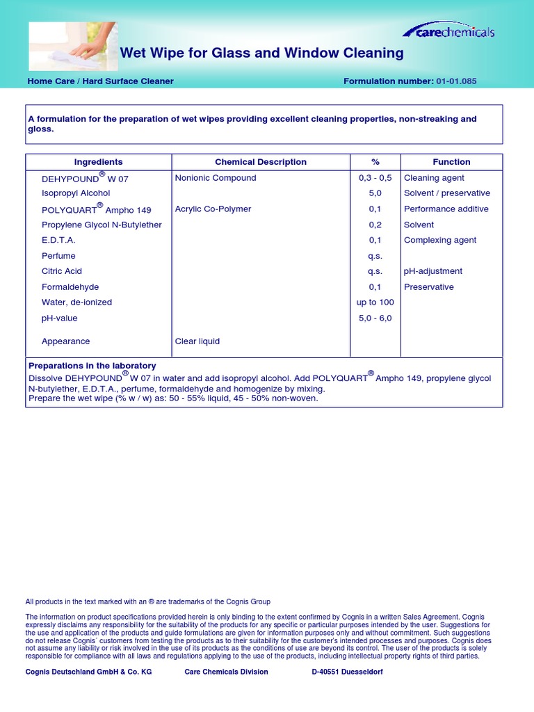Surface Wet Wipe - Glass Cleaner (Incl. Dehypound W 07, Polyquart Ampho ...