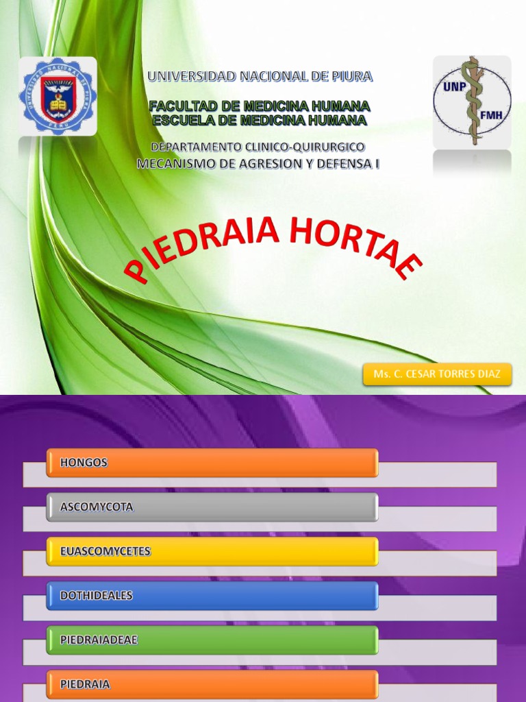 Piedraia Hortae | PDF
