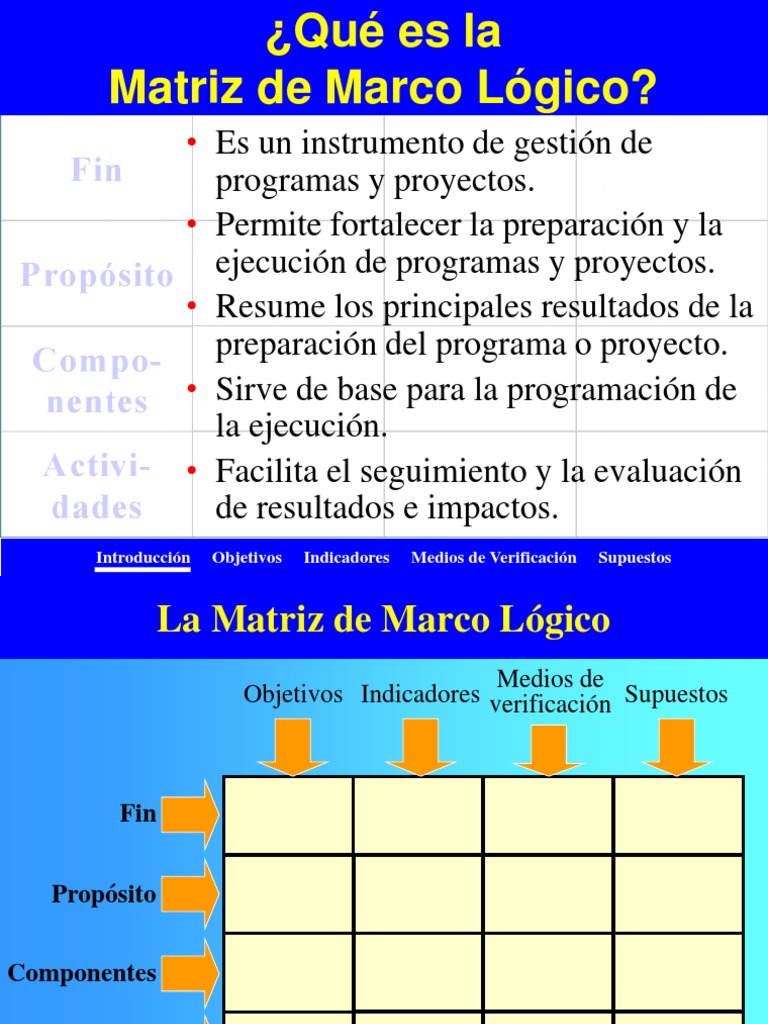 Prpyecto y Marco Logico | PDF