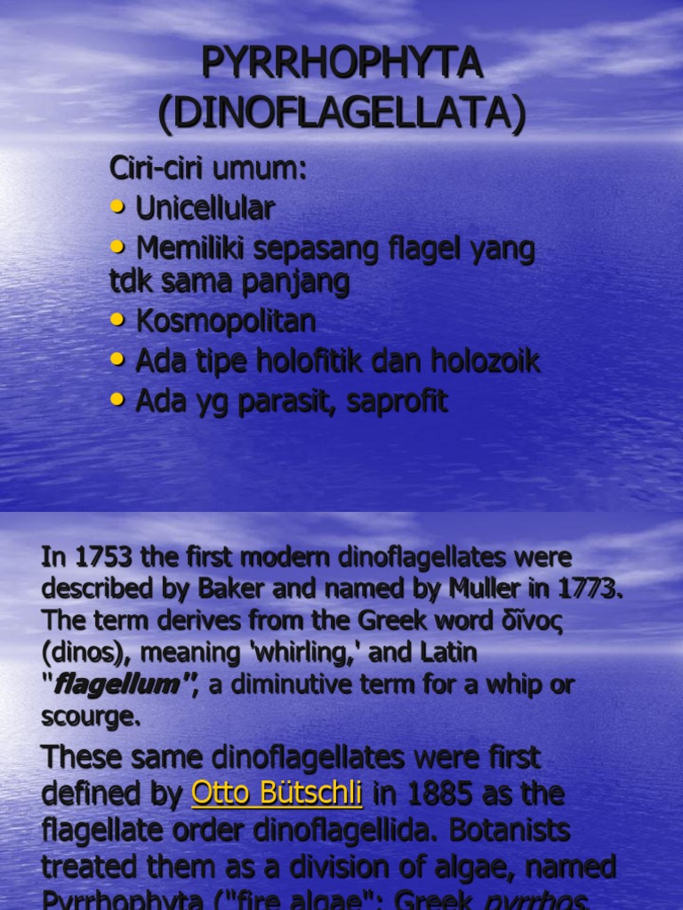 Pyrrophyta | PDF | Organisme Akuatik | Alga