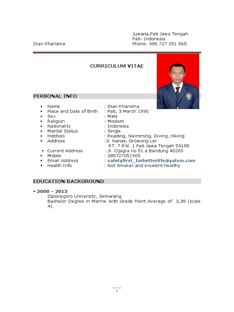 CV-Dian Kharisma | PDF | Esri | Arc Gis