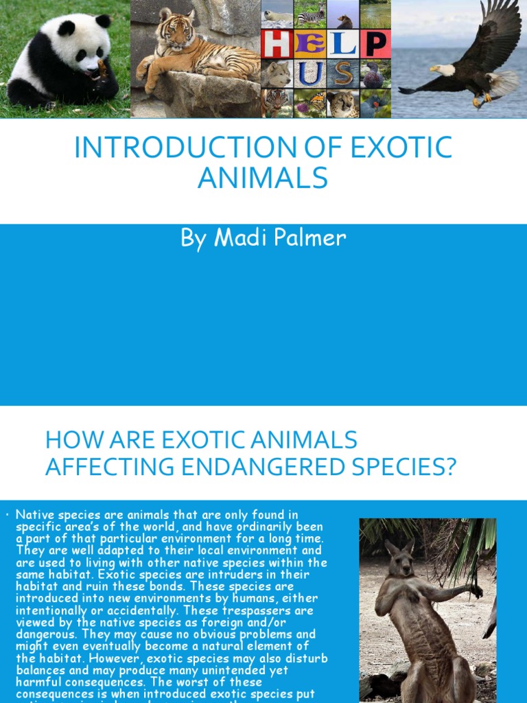 Introduction of Exotic Animals.ppt | Introduced Species | Endangered ...