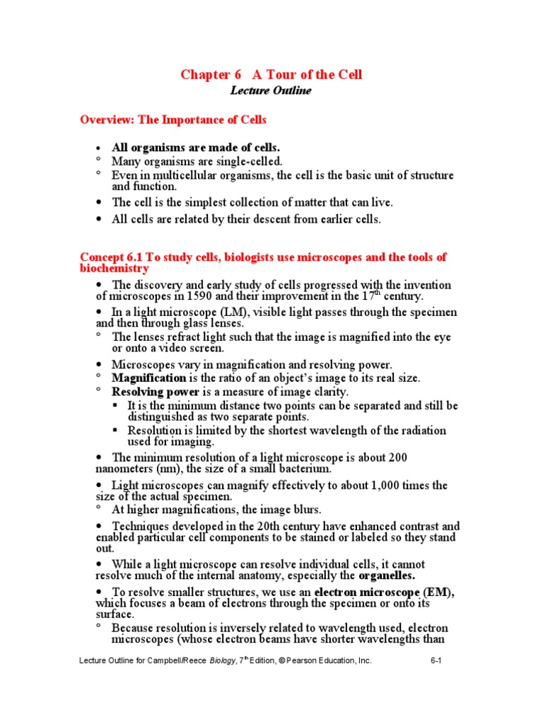 Chapter 6 Ap Bio Notes | PDF | Lysosome | Cell Nucleus