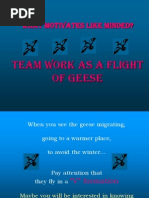 Teamwork - Flying Geese Model | PDF | Behavioural Sciences | Psychology