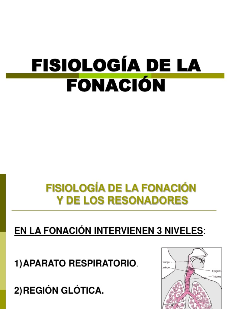Fisiologia Fonacion | PDF | Sistema respiratorio | Vocal